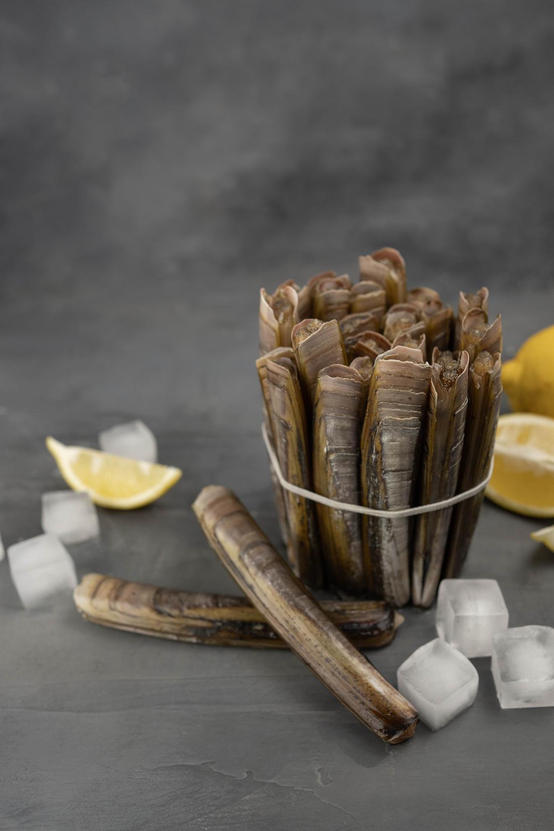 Navajas Marisco | Que son, Características y Propiedades | Delfín