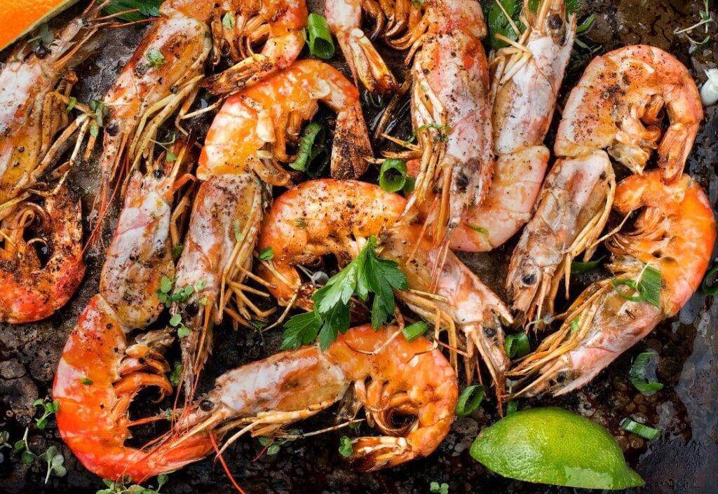 Gambón (Pleoticus muelleri) | Wiki Delfín