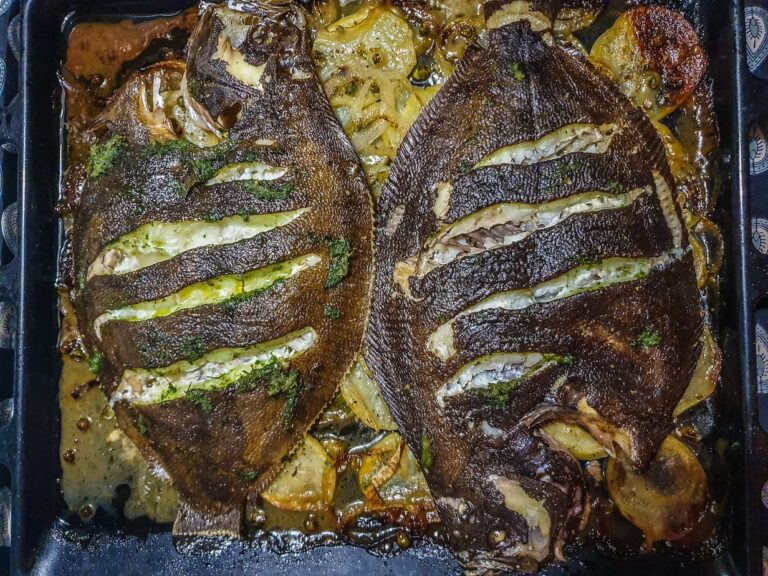 Rodaballo | Qué es, Características y propiedades | Wiki Delfín